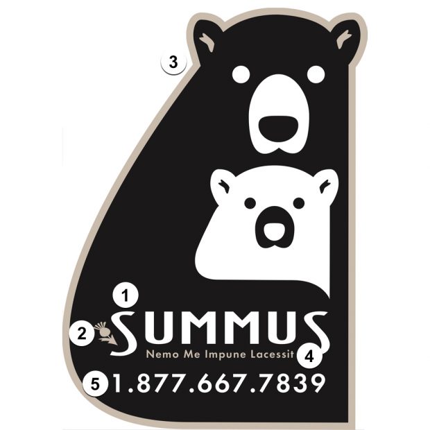 About Summus | Summus